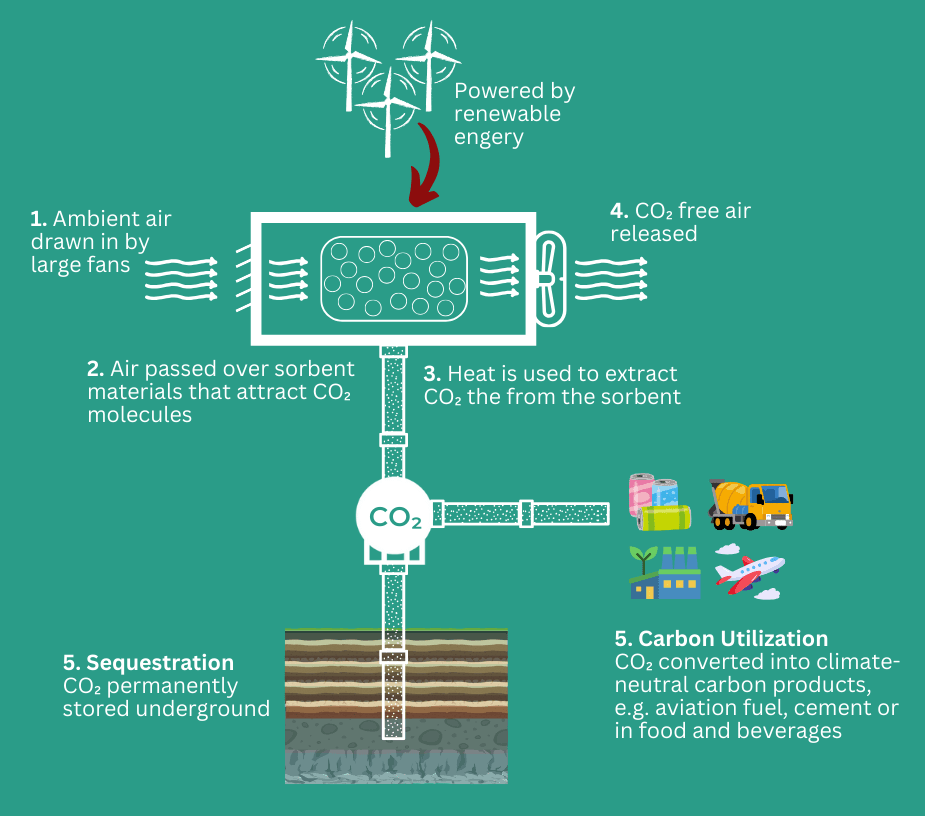 How Does Direct Air Capture Work? - NEG8 Carbon
